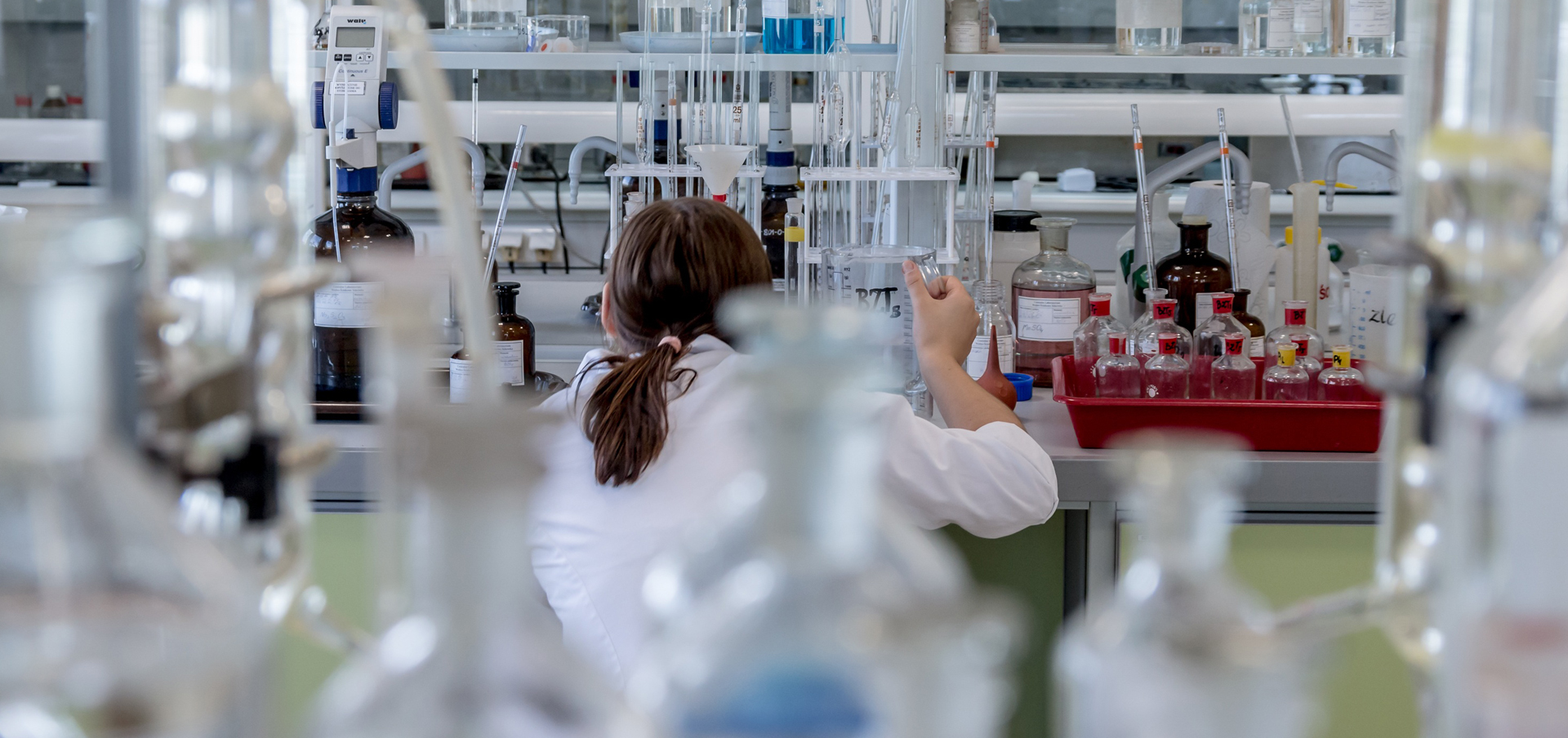 MSN Education | Goodwin College