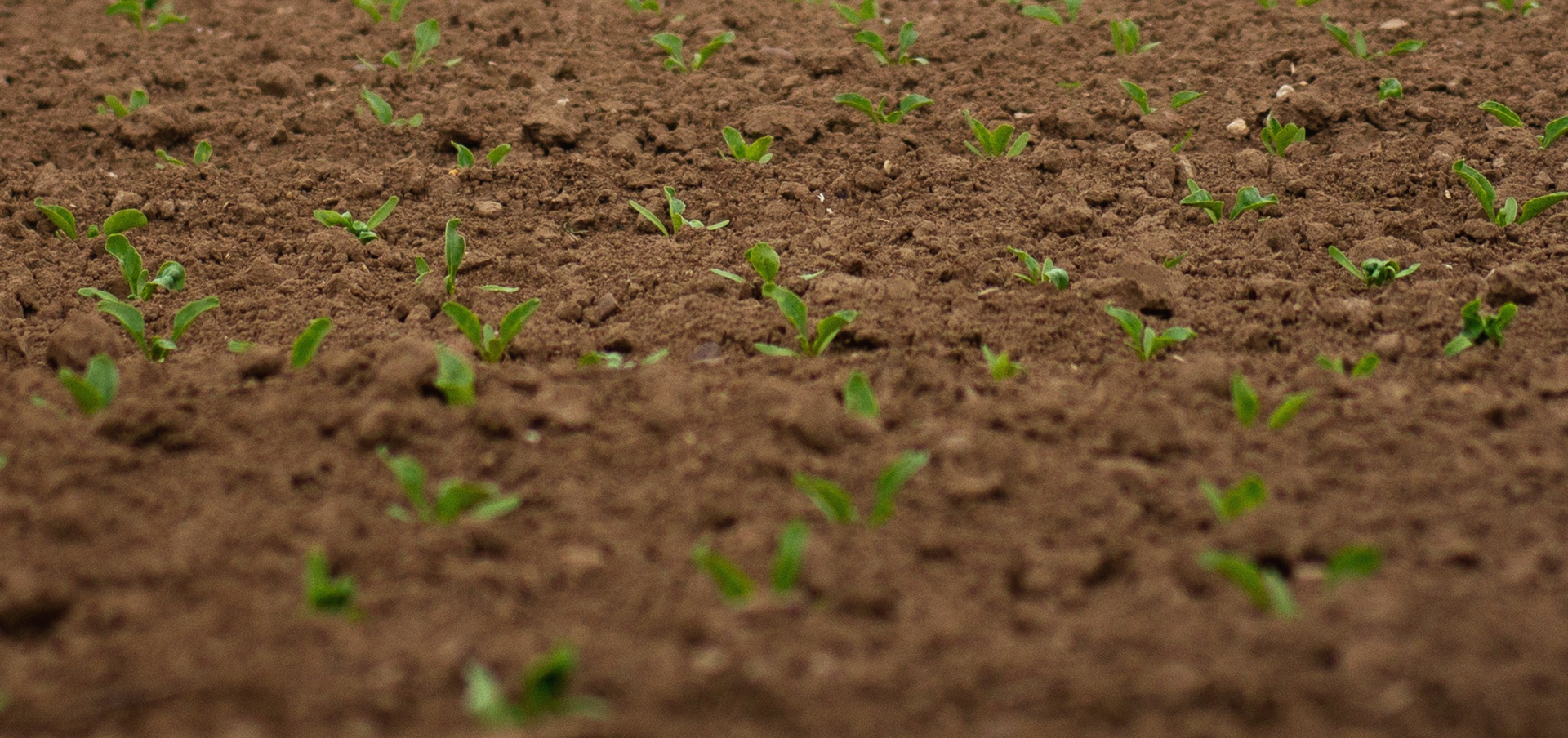 Public Health Graduate Program in CT | Goodwin College