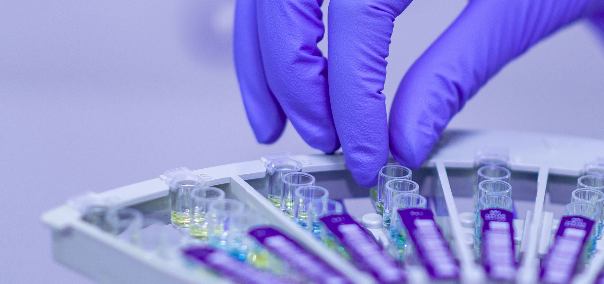 5 Public Skills to Master with an MPH | Goodwin University